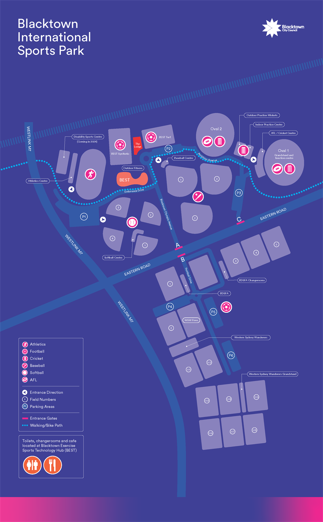 Shared user pathways | BISP